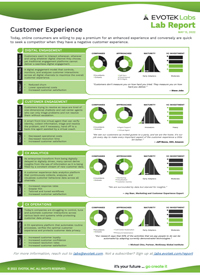 EVOTEK Lab Report - Customer Experience